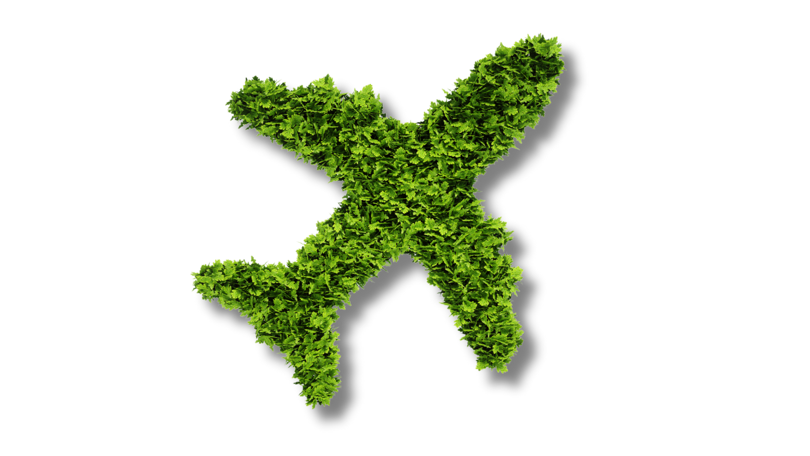 Elit'Avia launches it's "Green Jet Card" - Sustainable and cost ...