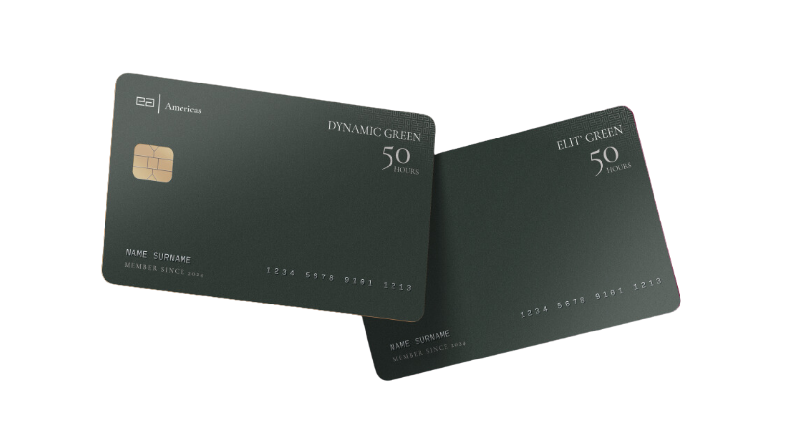 Elit'Avia Americas launches two distinct and sustainable jet cards ...